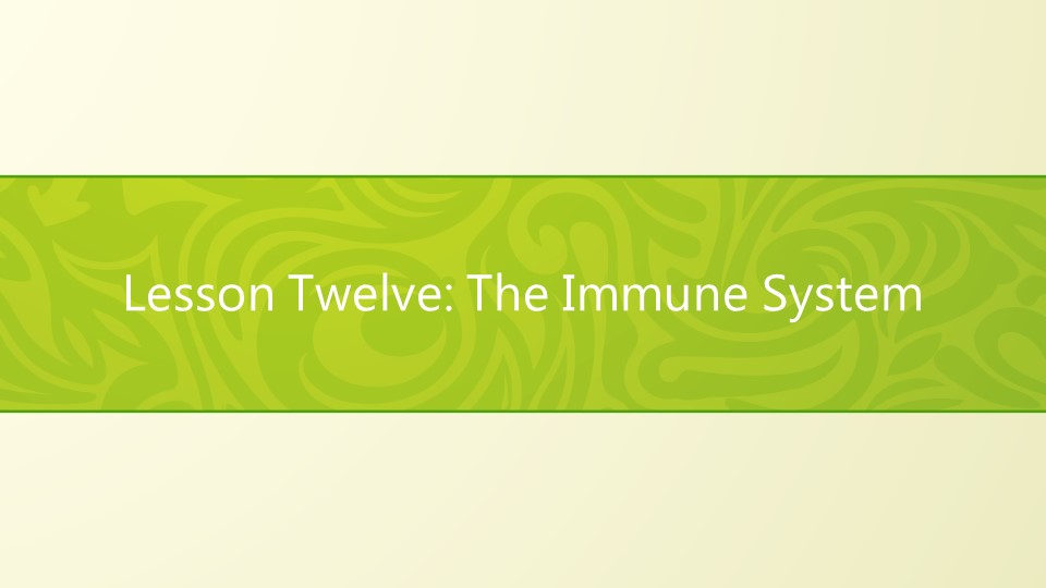 immune-system | Master Aromatherapy