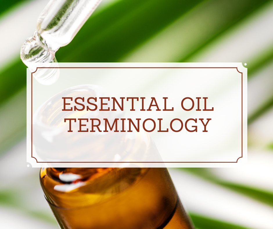 ACP-1 Activity: Botanical Family Cards | Master Aromatherapy