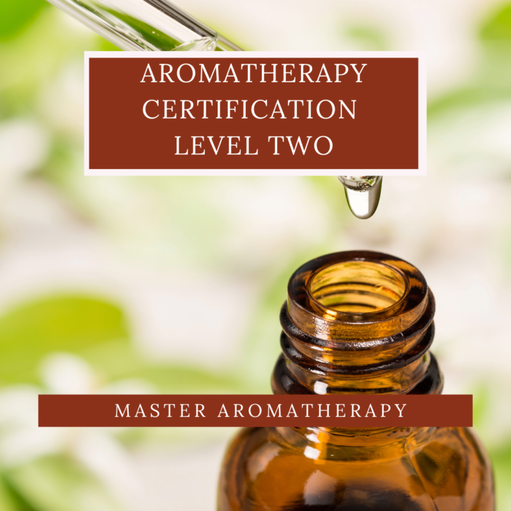 Online Classes | Product categories | Master Aromatherapy